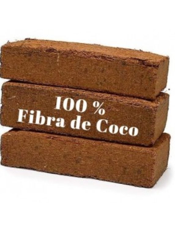 ᐅ Qué es la fibra de coco? 🌾 Huertos Alma ☘️